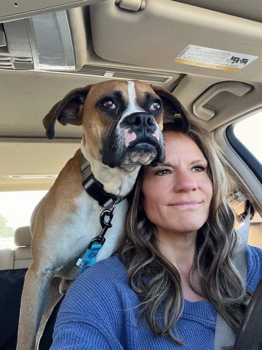 Adopt A Boxer adopt-a-boxer