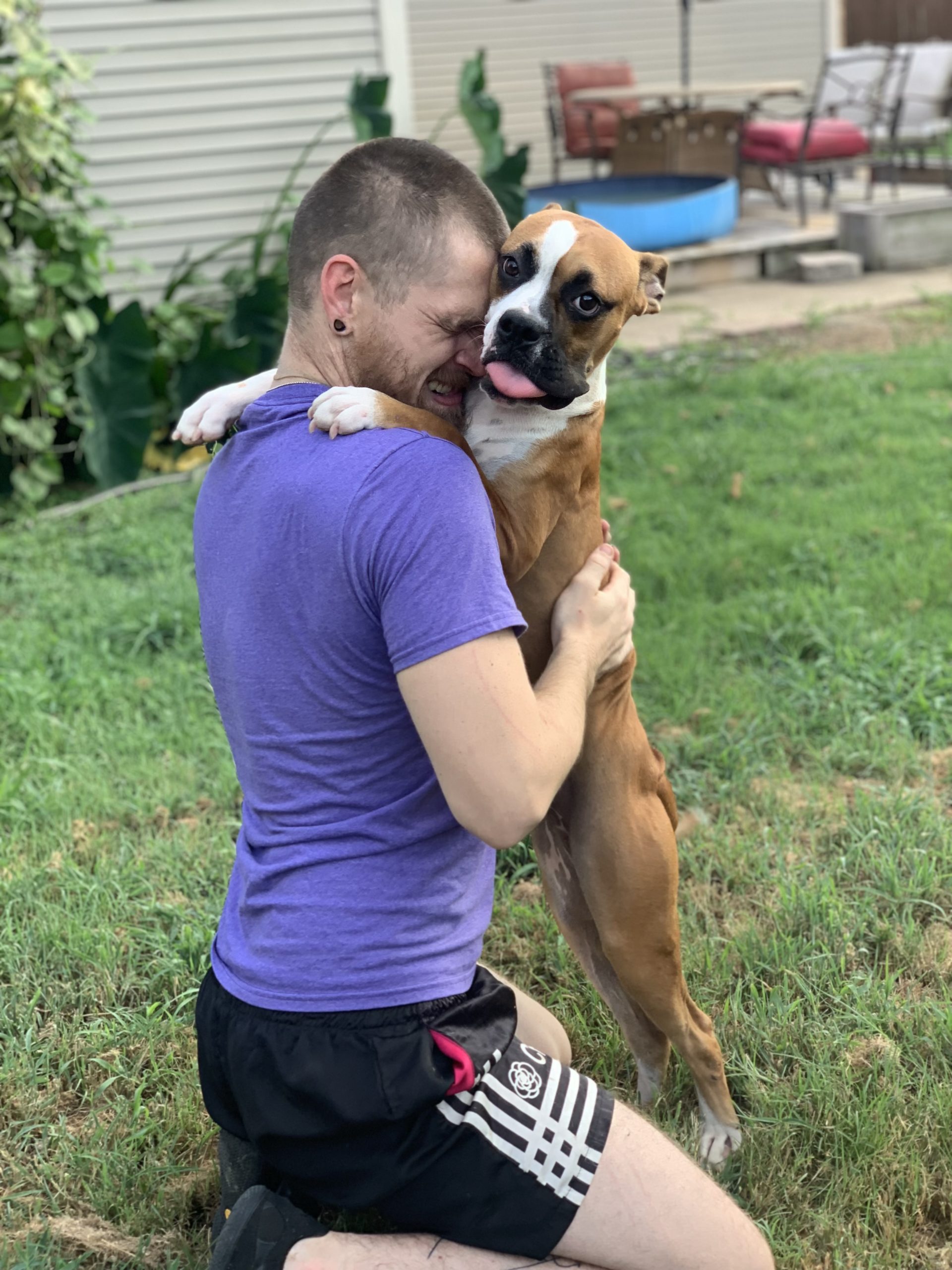 Adopt A Boxer