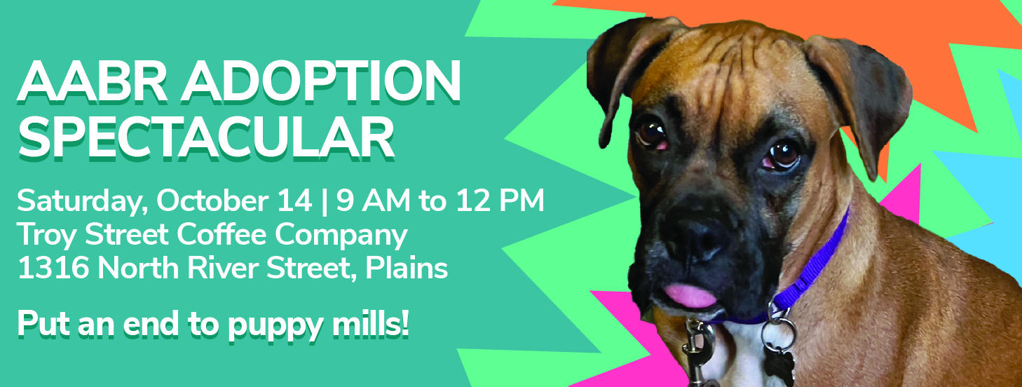 Adopt A Boxer Rescue