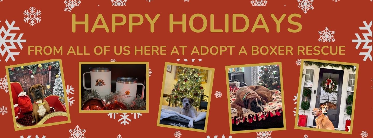 Adopt A Boxer